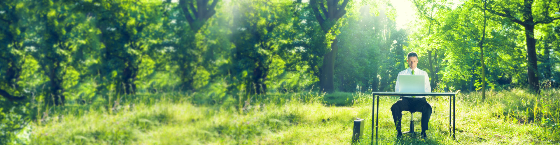 Plasticizer-free-adhesives-Eva-Tec-Dublin-Working-with-nature-2 - Eva ...